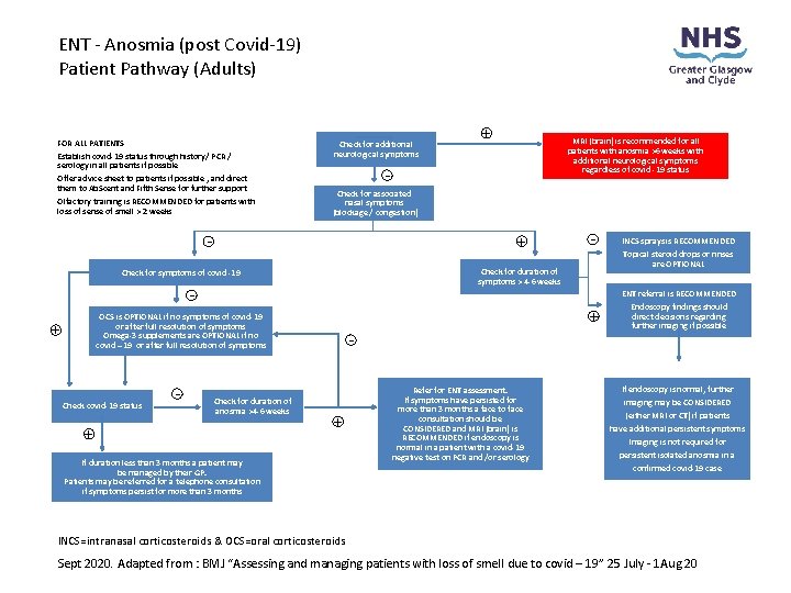 ENT Anosmia post Covid19 Patient Pathway Adults FOR