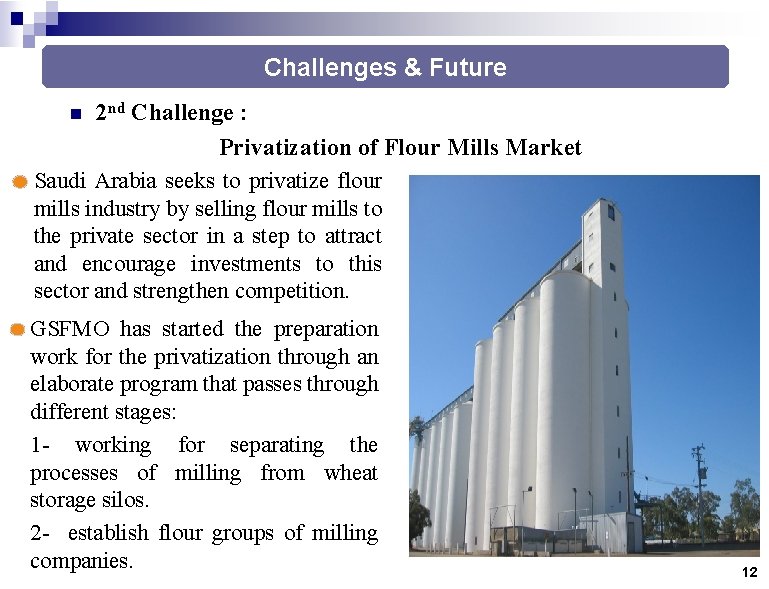 Grain Silos Flour Mills Organization Kingdom of Saudi