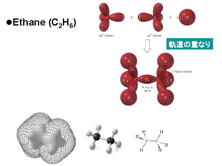 Chap 1Part 1 Introduction to Organic Compounds origin