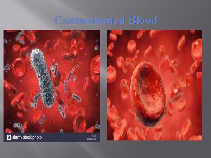 BIOLOGY WEBQUEST FORM 3 P AIR AND WATER