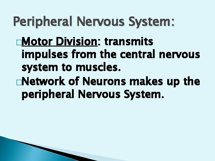 Nervous System Biology Powerpoint 3 Unit 8 Chapter