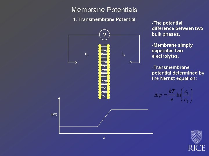 Probing Membrane Electrostatics with the Atomic Force Microscope