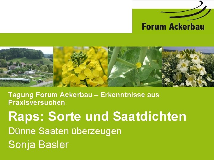 Tagung Forum Ackerbau Erkenntnisse aus Praxisversuchen Raps Sorte