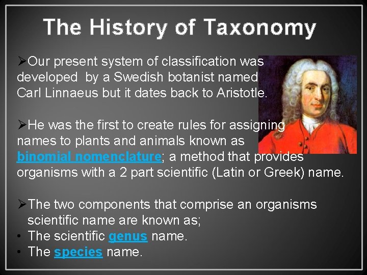 Taxonomic Systems By Seaneen Richard The Big Bang