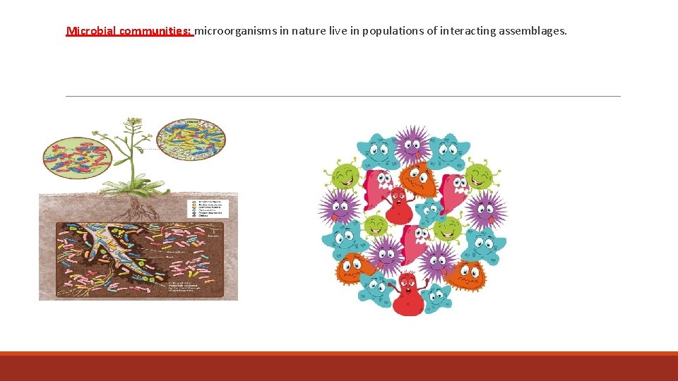 140 MIC Microbiology Lecture 3 Principles of Microbiology