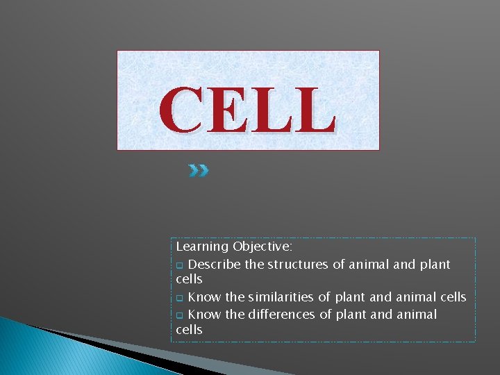 CELL Learning Objective q Describe the structures of