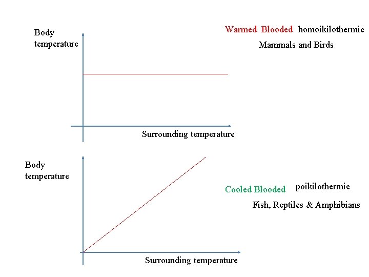 CHAPTER 3 BIODIVERSITY BIODIVERSITY the differences that exist