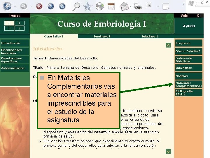 Orientaciones para el uso de los Materiales Complementarios