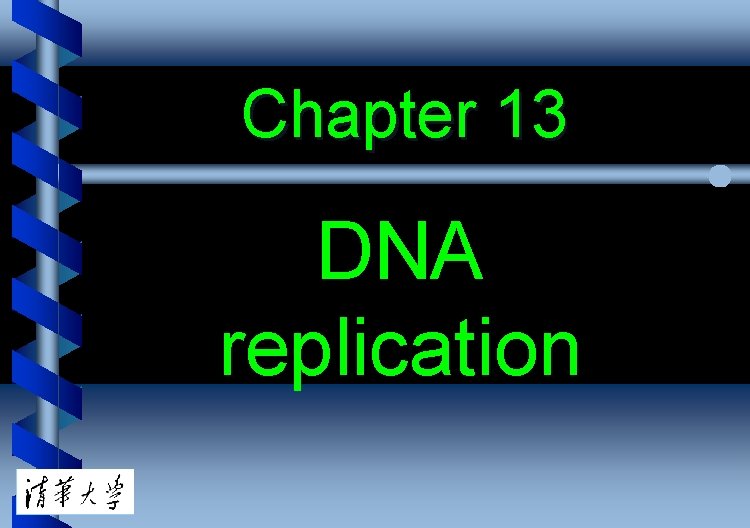 Chapter 13 DNA replication 13 1 Introduction 13
