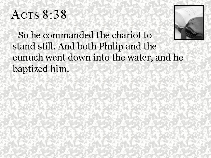 STAND STILL Exodus 14 10 14 And Moses