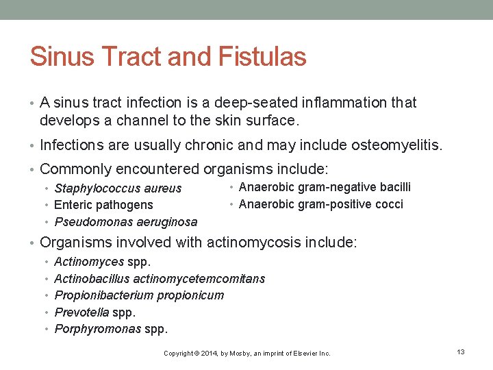 CHAPTER 76 Skin Soft Tissue and Wound Infections