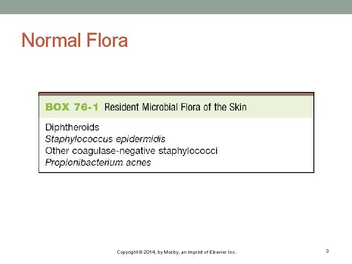 CHAPTER 76 Skin Soft Tissue and Wound Infections