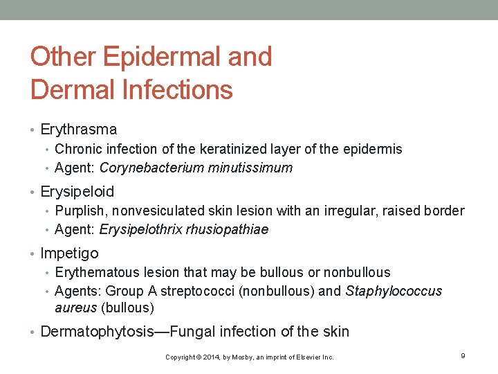 CHAPTER 76 Skin Soft Tissue and Wound Infections