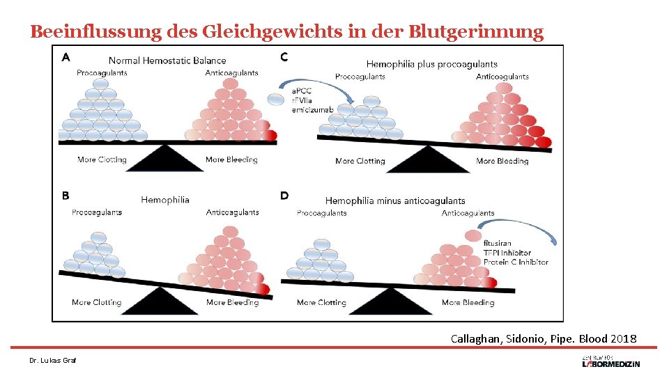 Hmophiliebehandlung Neuigkeiten Dr Lukas Graf SHG SHN Herbsttagung