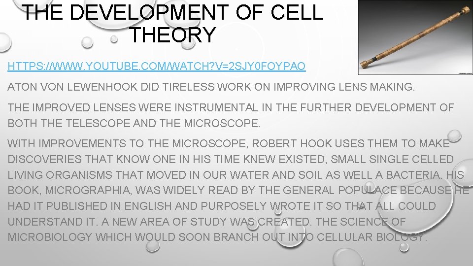 THE DEVELOPMENT OF CELL THEORY THE DEVELOPMENT OF