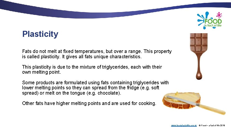 Fats and their functional properties in food products