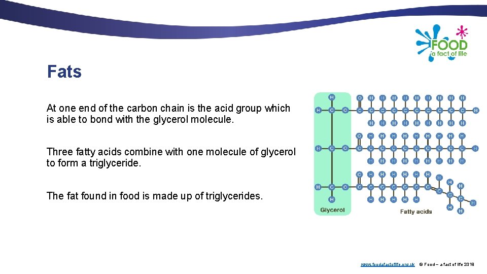 Fats and their functional properties in food products
