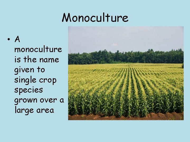 Higher Biology Unit 3 3 3 Crop Protection