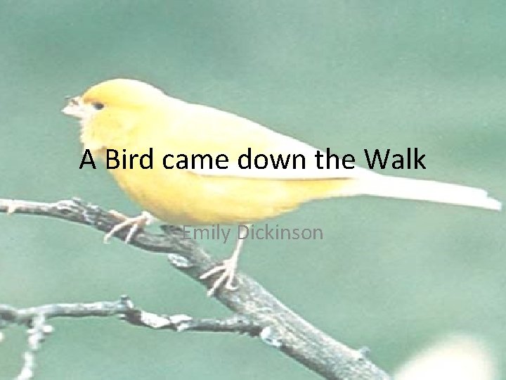 A Bird came down the Walk Emily Dickinson