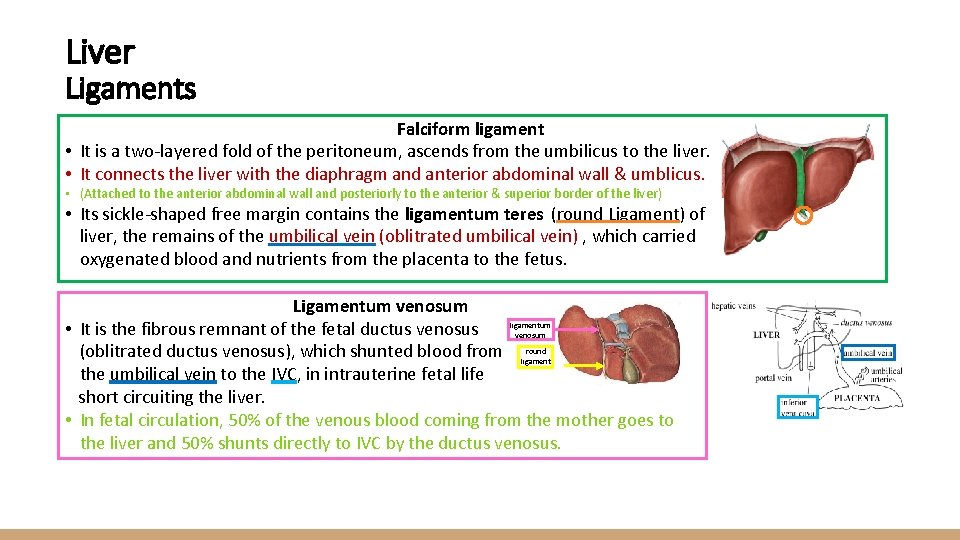 Objectives At the end of the lecture students