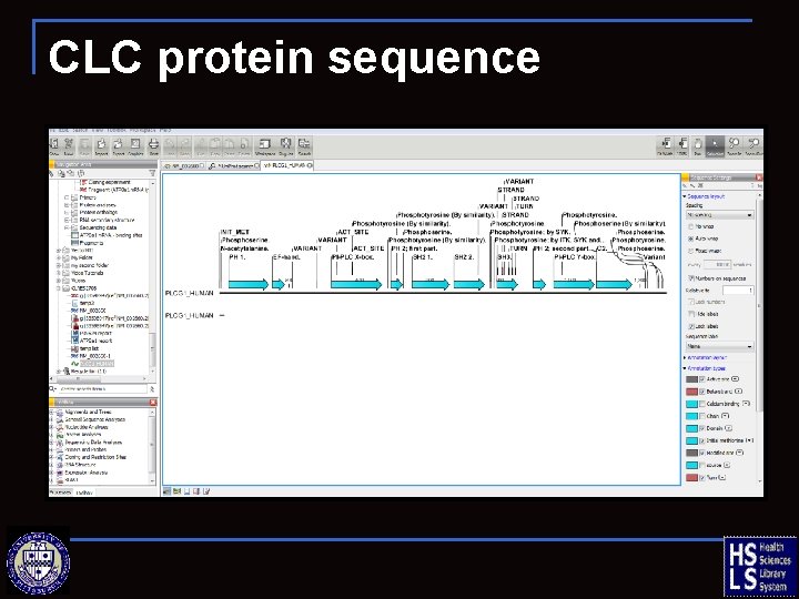 Introduction to CLC Main Workbench 20 June 2012