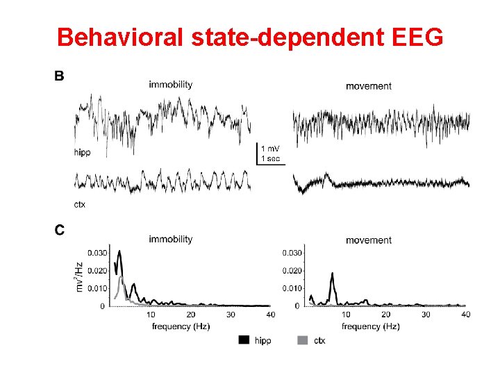 Electrophysiological approaches for examining physiological ...
