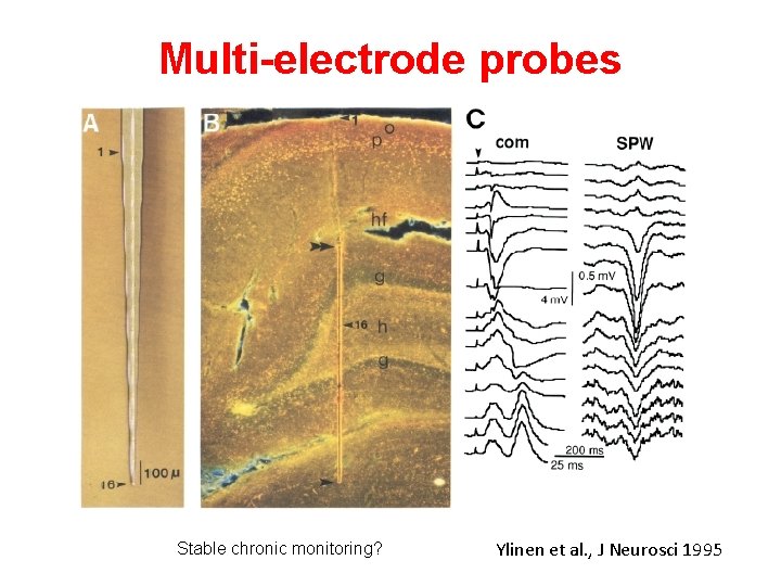Electrophysiological approaches for examining physiological ...