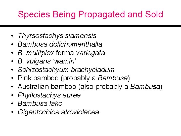 Bamboo Propagation Practical Experiences of Some Private Nursery