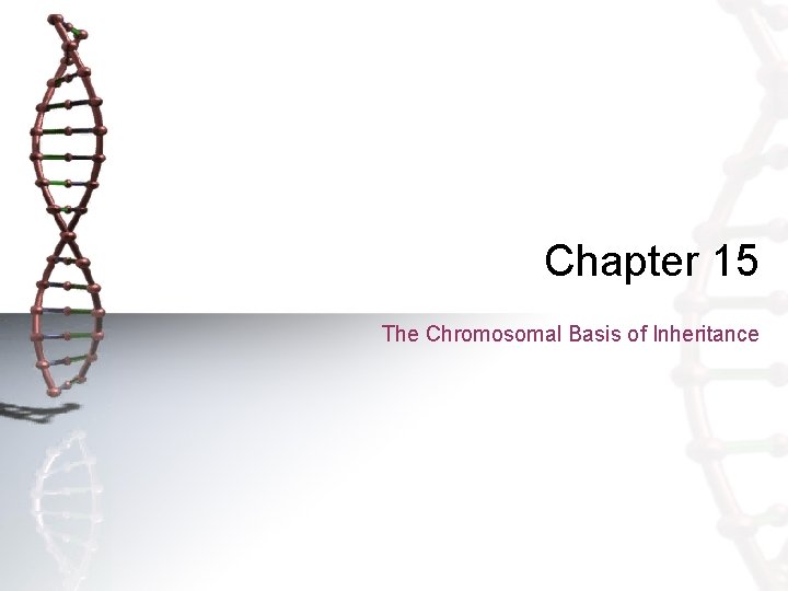 Chapter 15 The Chromosomal Basis of Inheritance Overview