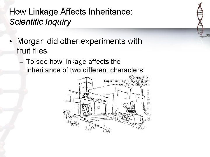 Chapter 15 The Chromosomal Basis of Inheritance Overview