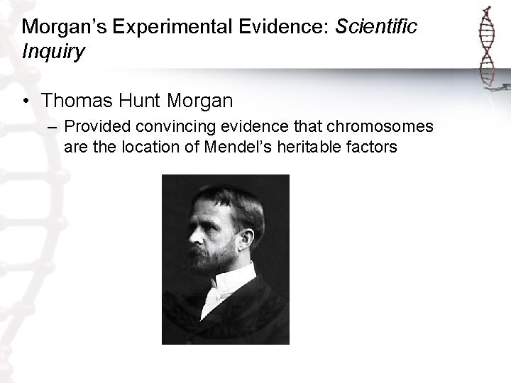 Chapter 15 The Chromosomal Basis of Inheritance Overview
