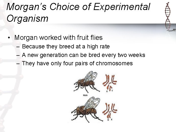 Chapter 15 The Chromosomal Basis of Inheritance Overview