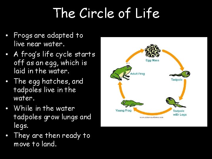 Unit 10 Plant and Animal Adaptations Goal I