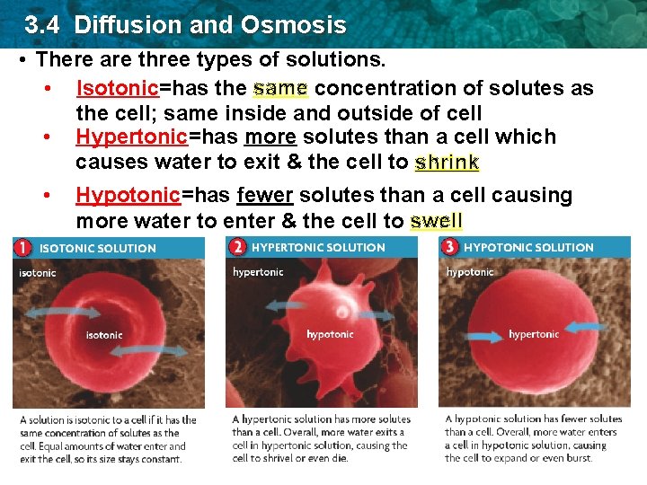 3 4 Diffusion and Osmosis Chapter 3 Part