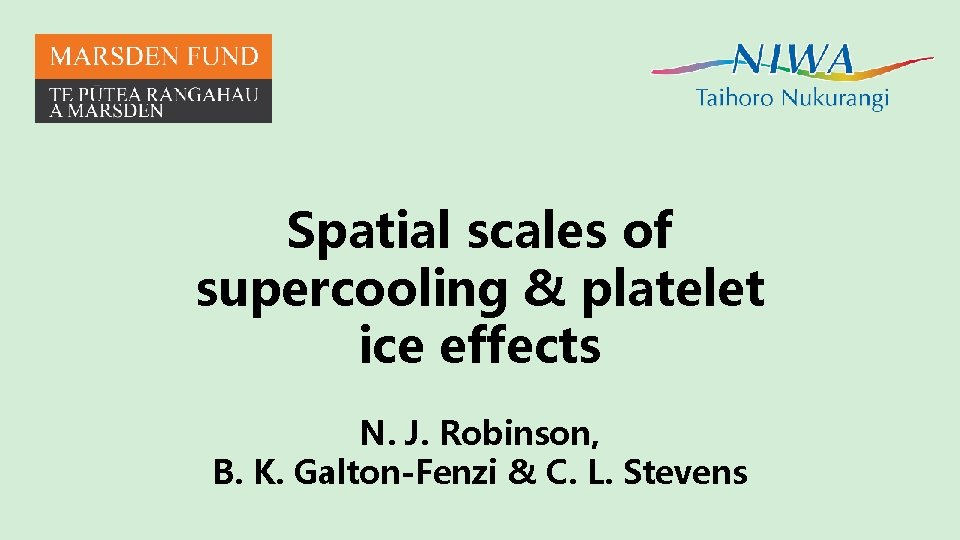 Spatial scales of supercooling platelet ice effects N