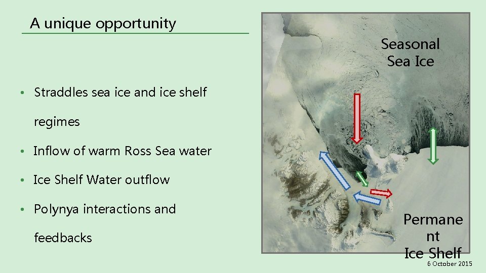 Spatial scales of supercooling platelet ice effects N
