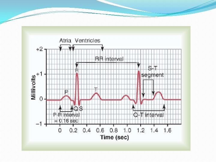 Cardiovascular System Block The Electrocardiogram ECG Dr Mona