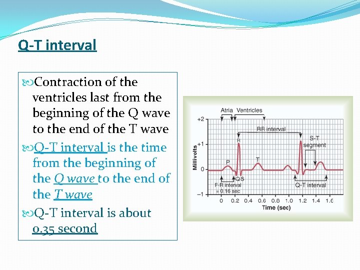 Cardiovascular System Block The Electrocardiogram ECG Dr Mona