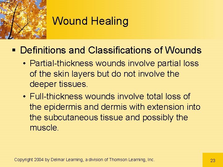 Chapter 36 Skin Integrity and Wound Healing Copyright