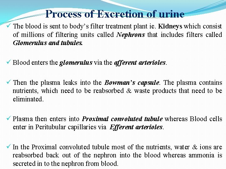 RENAL SYSTEM Organs of the Renal system v