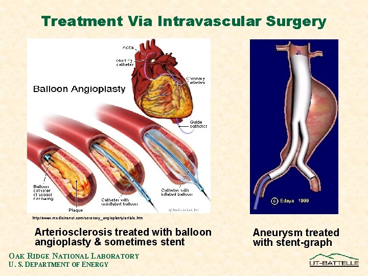 Computational Biomedical Engineering and Systems Biology RAMS FacultyMentor