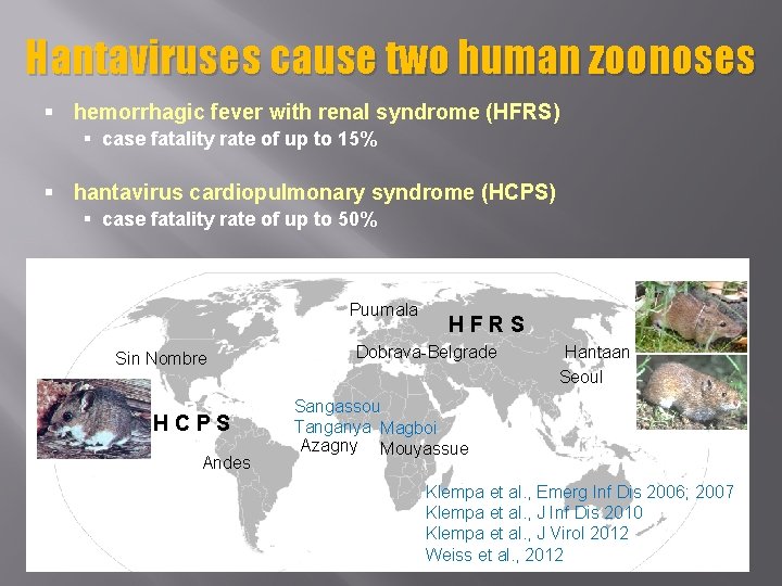 Hantaviruses as emerging pathogens in Europe and Africa