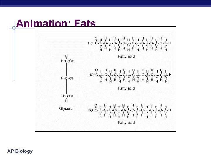 Lipids Fats Oils AP Biology Lipids long term