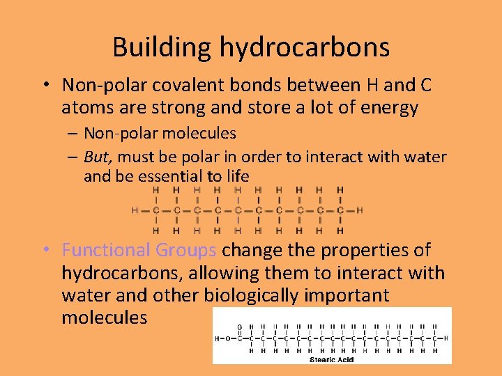 Biochemical Reactions SBI 4 U Ms Richardson Chemical