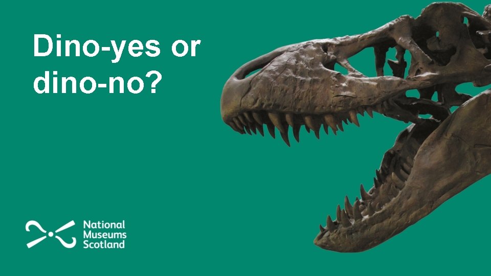 Dinoyes or dinono Dinosaurs roamed the earth from