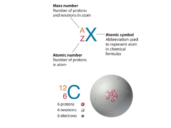 Atomic Structure The Atom Proton Positively charged subatomic