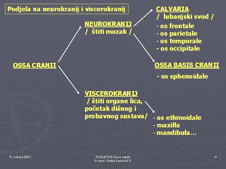 SCELETON OSSA CAPITIS 5 svibnja 2007 SCELETONOssa capitis