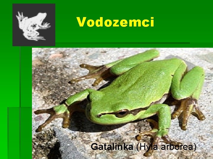 O ura Jaki Tema Carska Bara Predmet Biologija