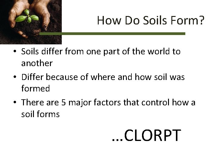 SOILS How Do Soils Form Soils differ from