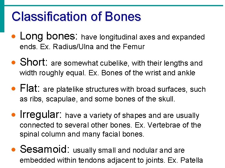 Skeletal System The Skeletal System Parts of the